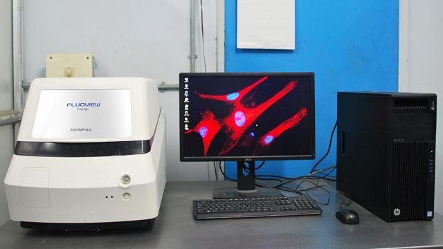 Central Instrumentation Facility